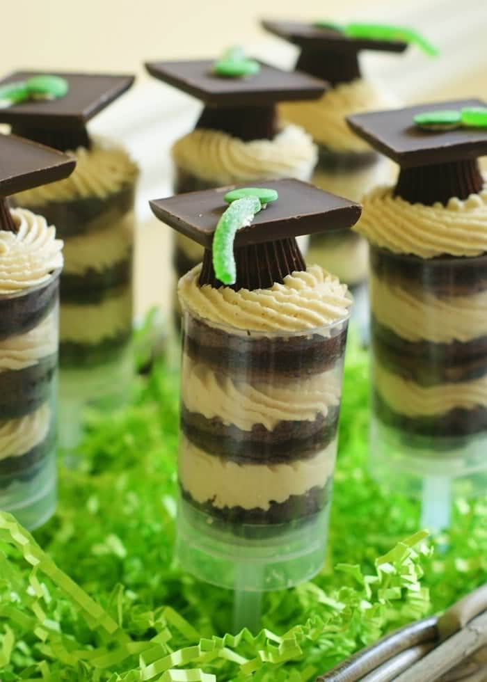 Graduation Party Food Ideas EASY GOOD IDEAS